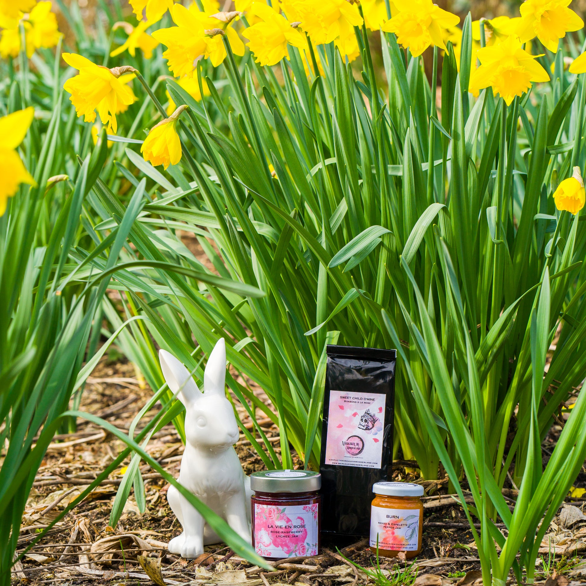 Margaux in Wonderland